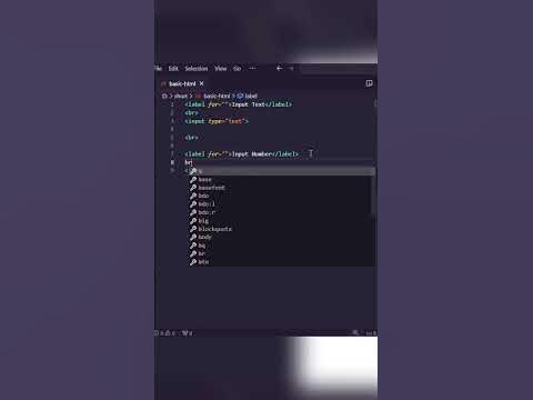 Basic HTML - Input type Text & Number #html #html5 #vscode #webprogramming - YouTube