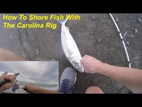 How to Shore fish with the Carolina Rig - YouTube