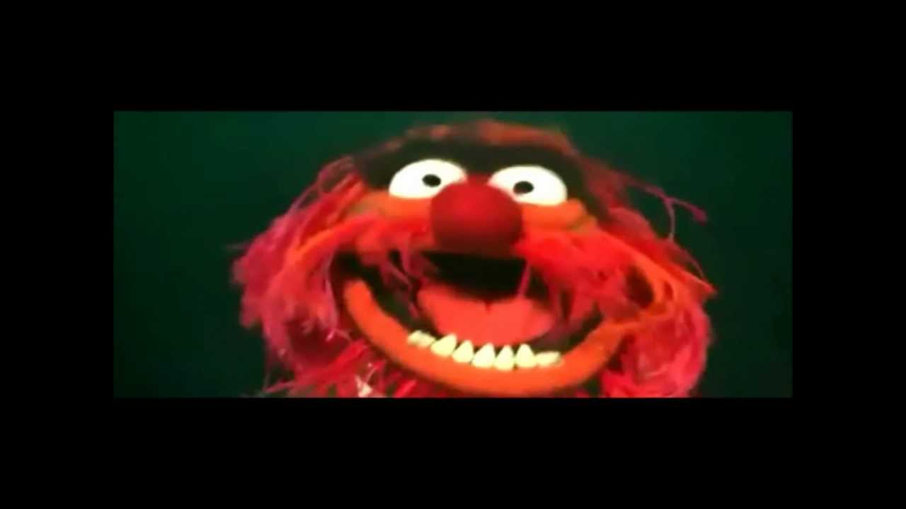 Bohemian Rhapsody - The Muppets.wmv - YouTube
