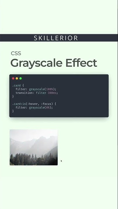 CSS Greyscale Effect - CSS Property Explained | #shorts - YouTube