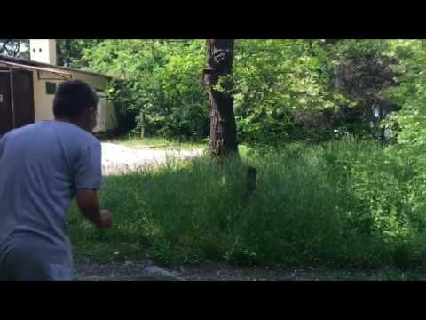 Ugrás az Oszlopra