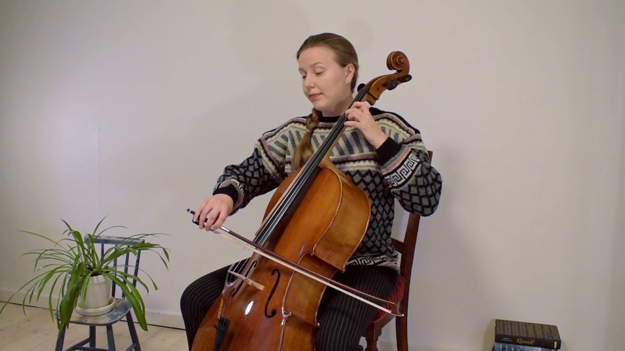 Sevcik Op 3, 40 variations, variation 2, cello - YouTube