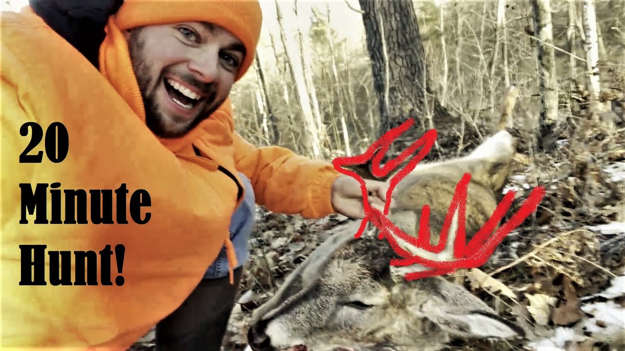 Wisconsin Gun Hunt 2021 PUBLIC Land Buck! - YouTube