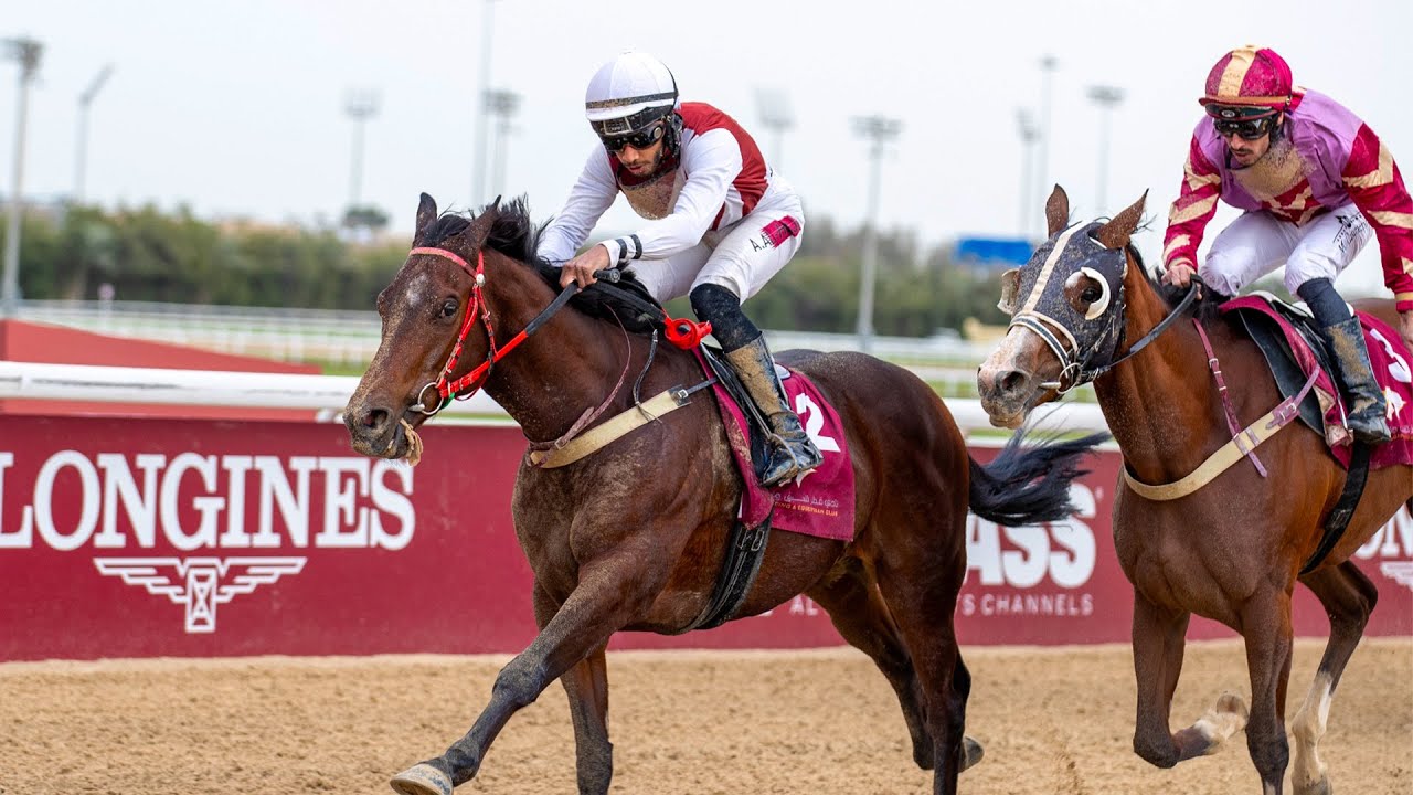 RM 29 Al Rayyan Race 1 - Lehwaila Cup - YouTube