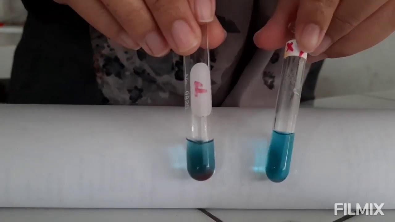 uji Barfoed sampel Karbohidrat - YouTube