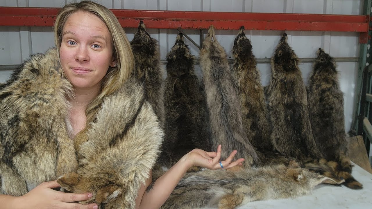 Cleaning out the Fur Freezer & Prepping Traps for Trapping Season ...