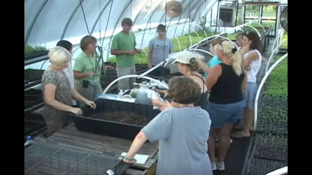 Windcrest Farm Learn and Grow Garden Series - YouTube