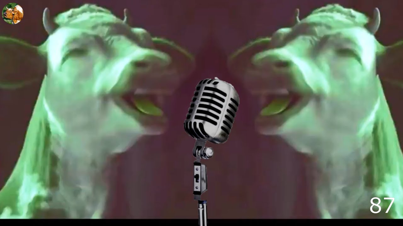 Funny Cow Dance 88 | Cow Song & Cow Videos | Cow New Mooing Sounds ...