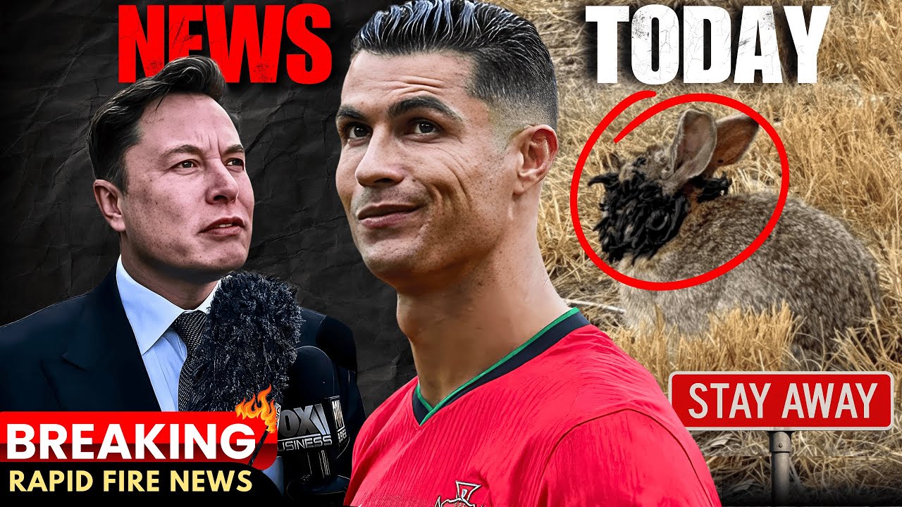 WTF! Rabbit ‘Tentacle’ Virus, Elon Musk Suing Apple & Ronaldo Finally ...