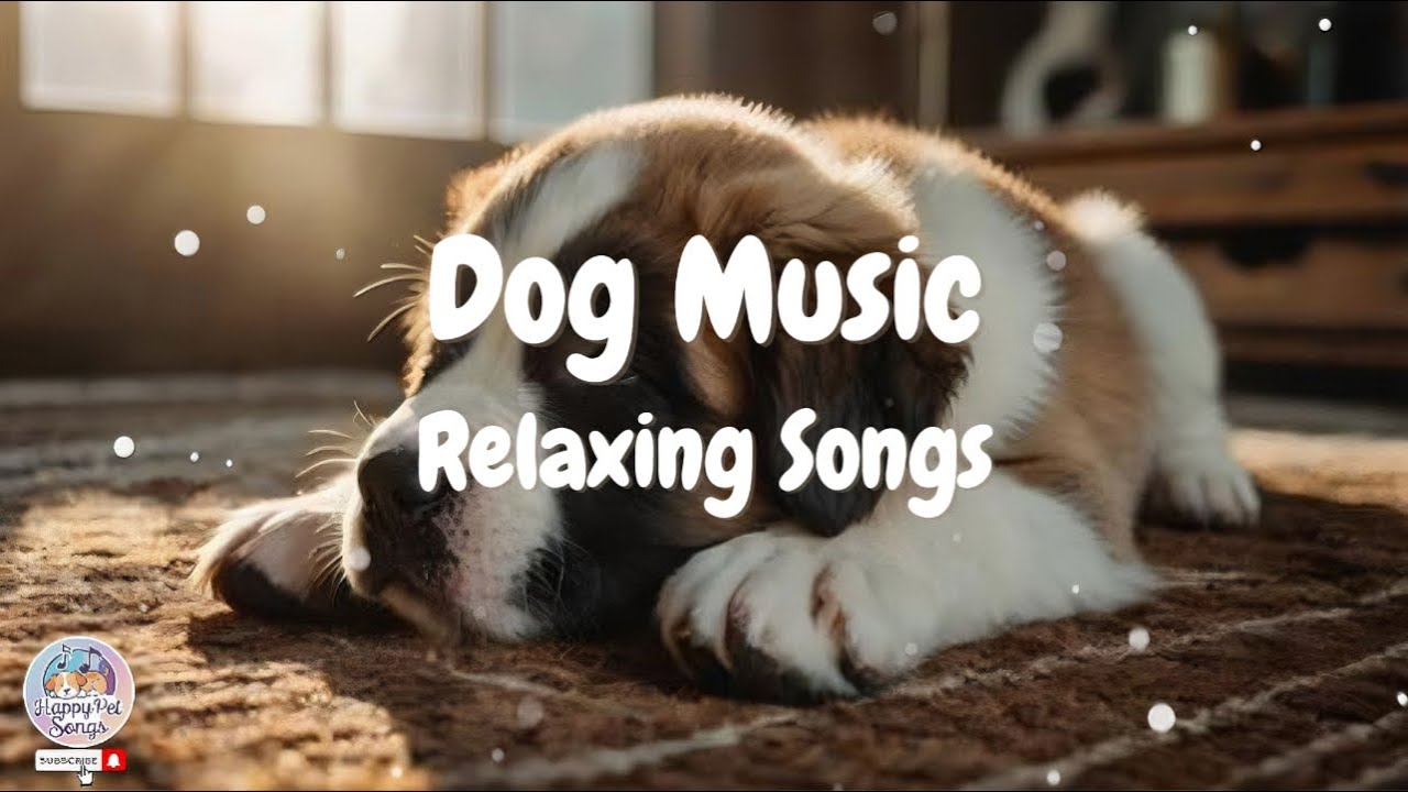 Dog Music - Relaxing Songs for Pets - YouTube