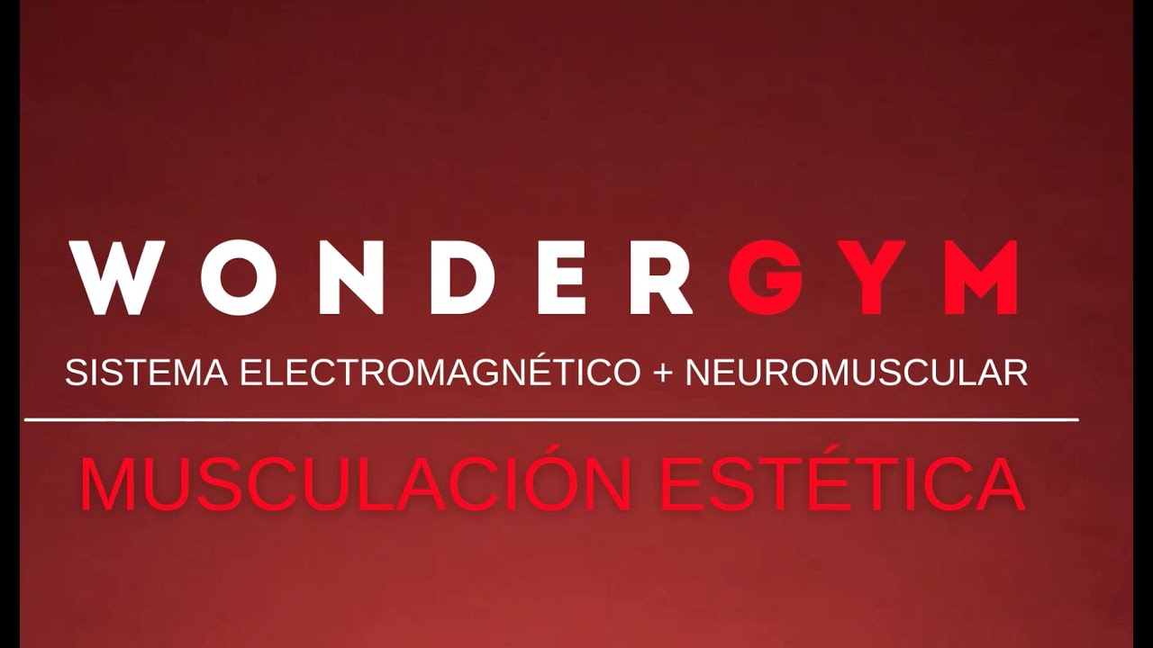 WONDER GYM | Guía de Ejercicios para una Transformación Radical en tu ...