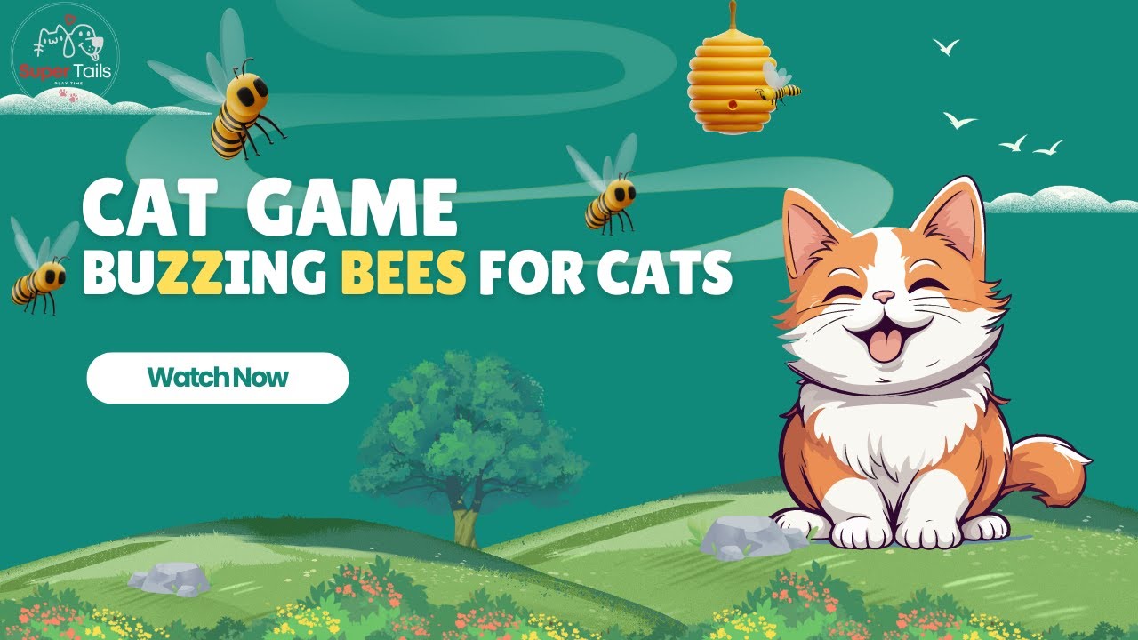 Buzzing Bees for Cats 🐝 | Relaxing Bee Video to Entertain Your Furry ...