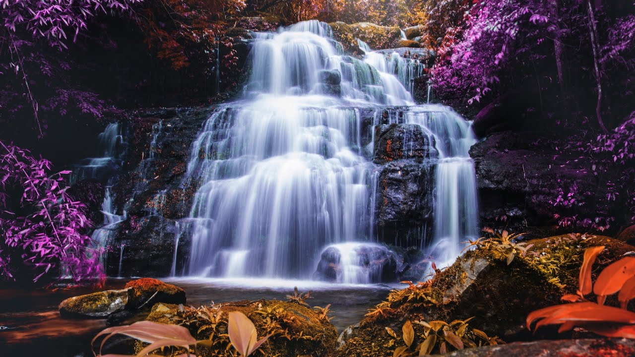 "The Sounds of Nature: A Relaxing Waterfall and Birds Soundscape ...