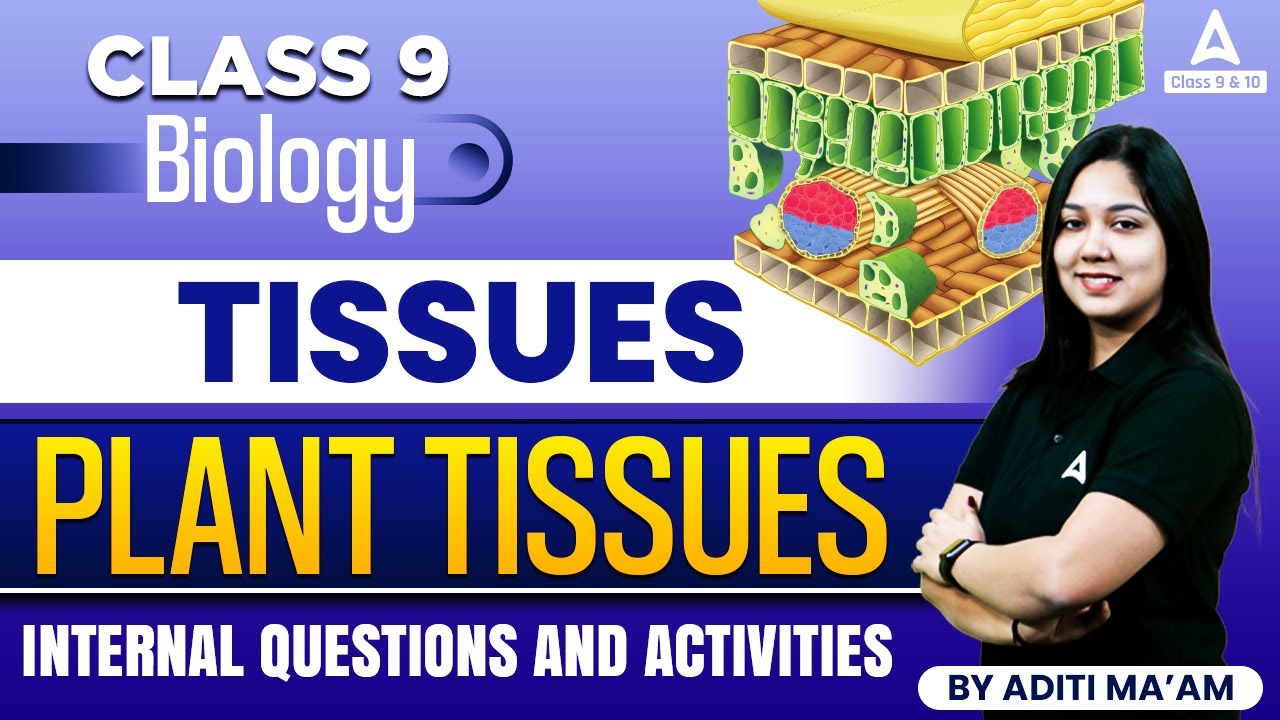 Tissues Class 9 | Class 9 Biology Chapter 2 | Questions Answers | Plant ...