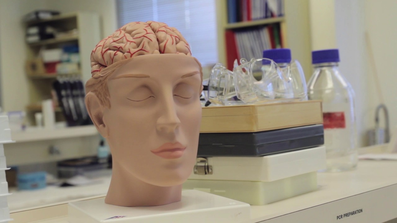 Stroke Research - YouTube