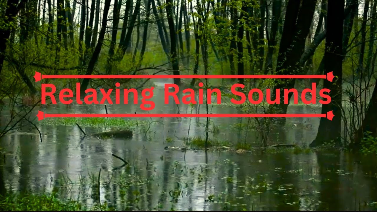 Forest Rain Meditation: Relaxing Rain Sounds for Serenity and ...