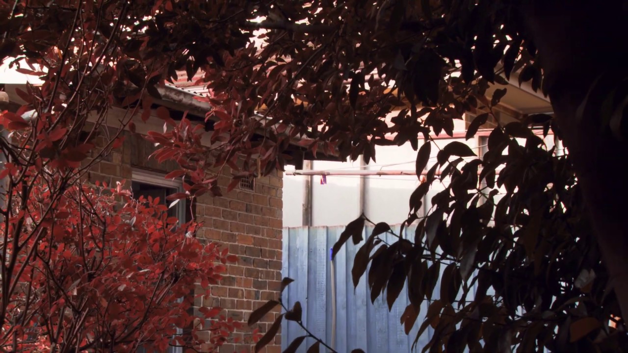 Sony F23 Redscale Look - YouTube