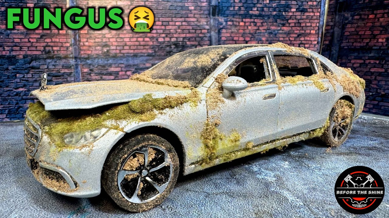 Cleaning the dirtiest and fungi Mercedes-Benz S-Class.Detailing and ...