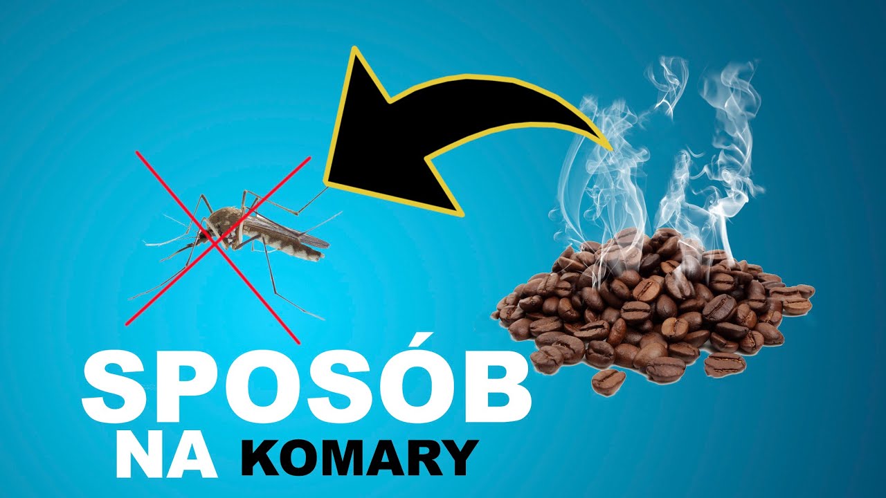 Jak odstraszyć KOMARY? Prosty domowy sposób jak pozbyć się komarów z ...