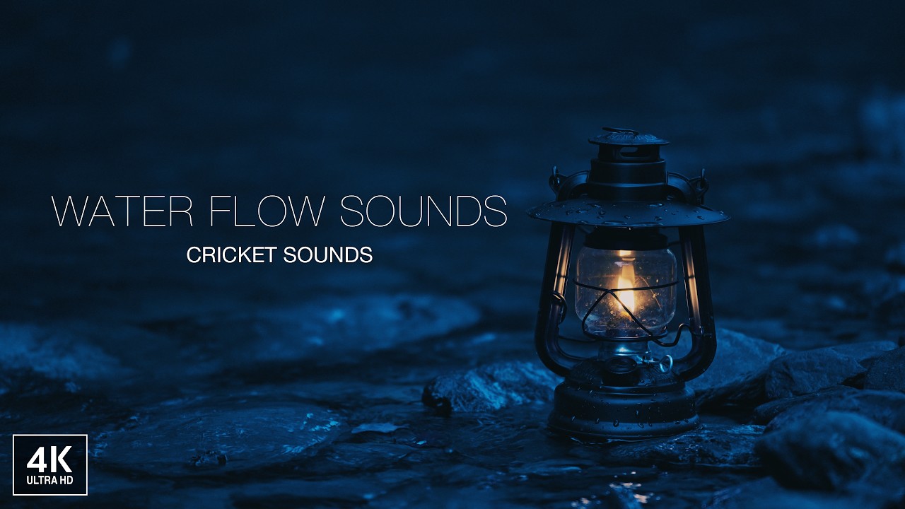Night Stream and Cricket Sounds: Perfect Sleep Companion. Gentle ...