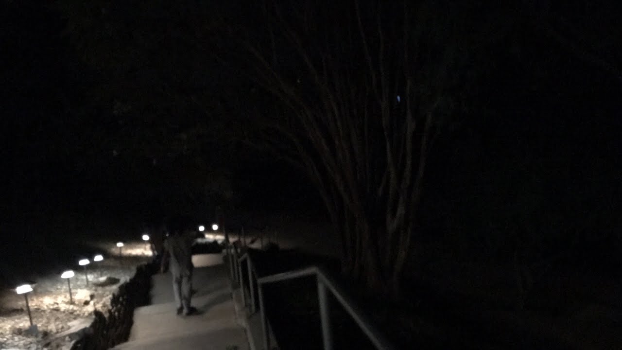 Walking a Trail at night - YouTube