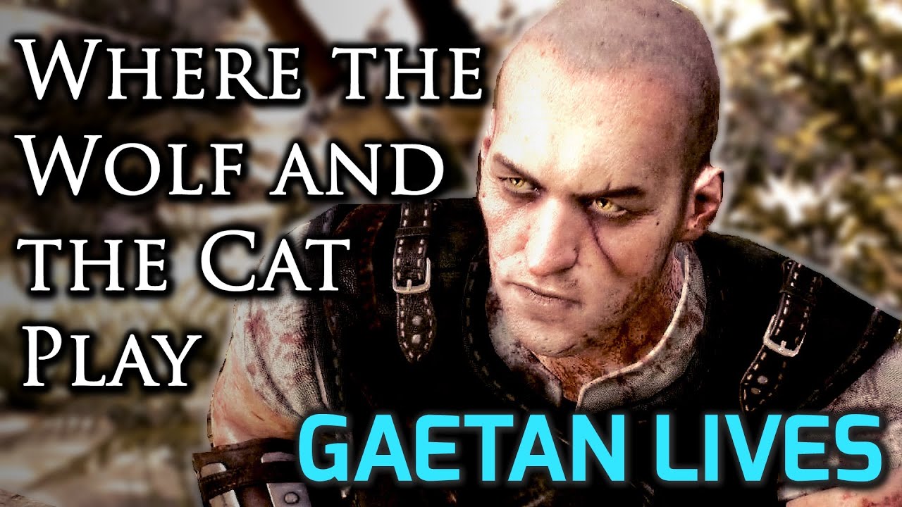 Witcher 3 DLC Where The Wolf and the Cat Play - Gaetan, the Cat School ...