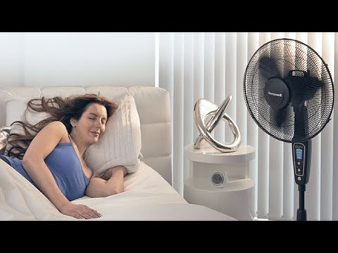 ASMR Fan White Noise: Serenity in Every Whirr | Soothing Sleep Sounds ...