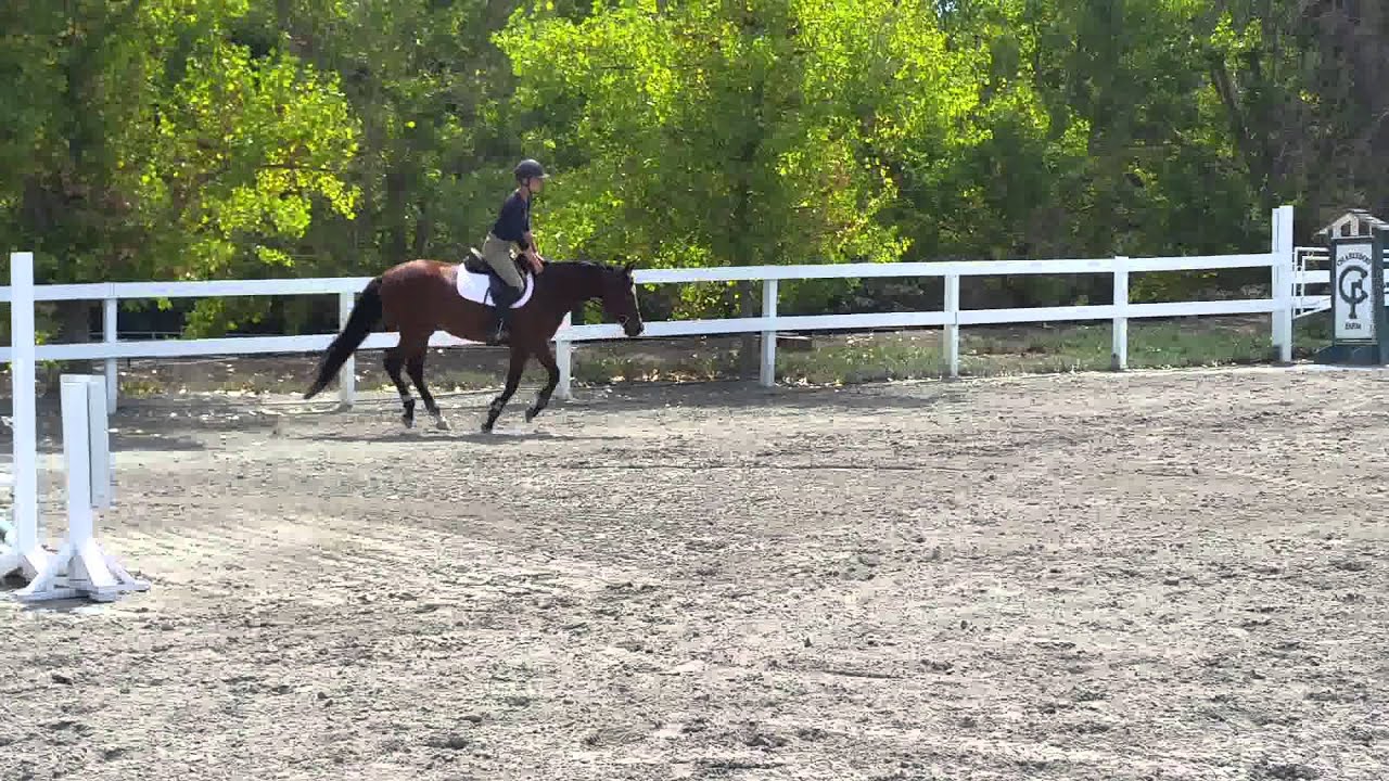 Chloe flatwork and lead changes 8/23/15 - YouTube