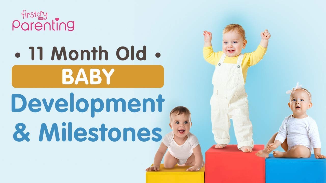 11 Month Old Baby : Development and Milestones - YouTube