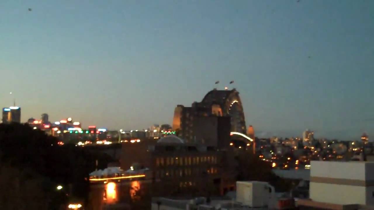 Flying Foxes over Sydney Harbour at Sunset - YouTube