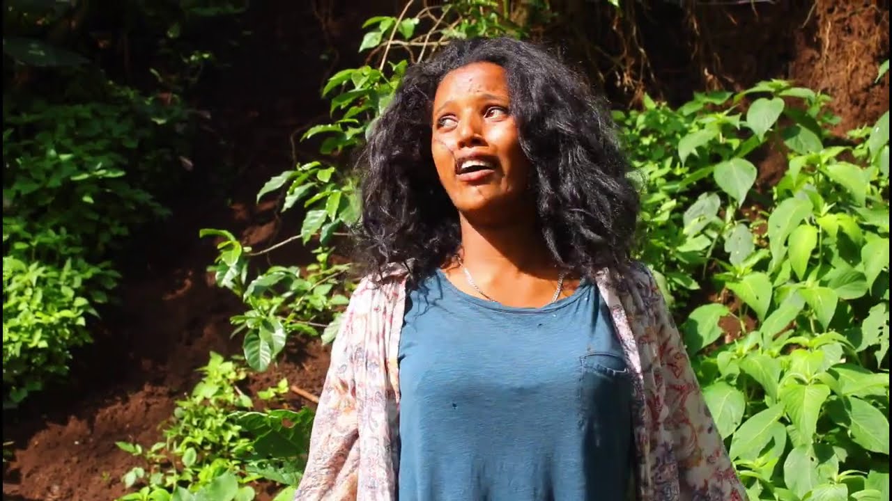 FIILMII GABAABA AFAAN OROMOO HAARA "AN SIIF" 2020 NEW AFAAN OROMO SHORT ...