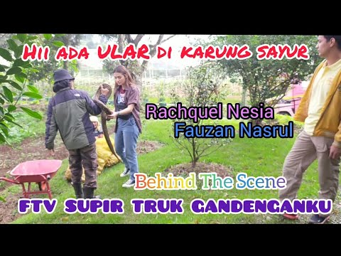 BTS FTV \