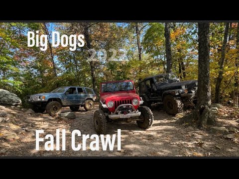 Big Dogs Fall Crawl 2022 at The Cove - YouTube