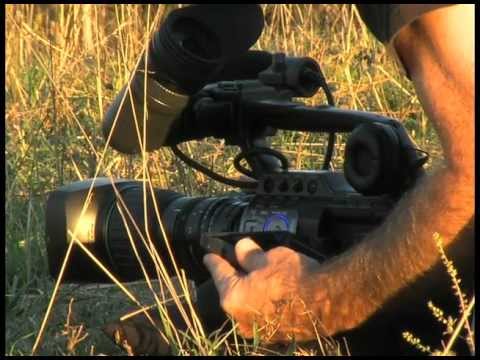 Stagecoach Shoot - Blake Sutton - YouTube