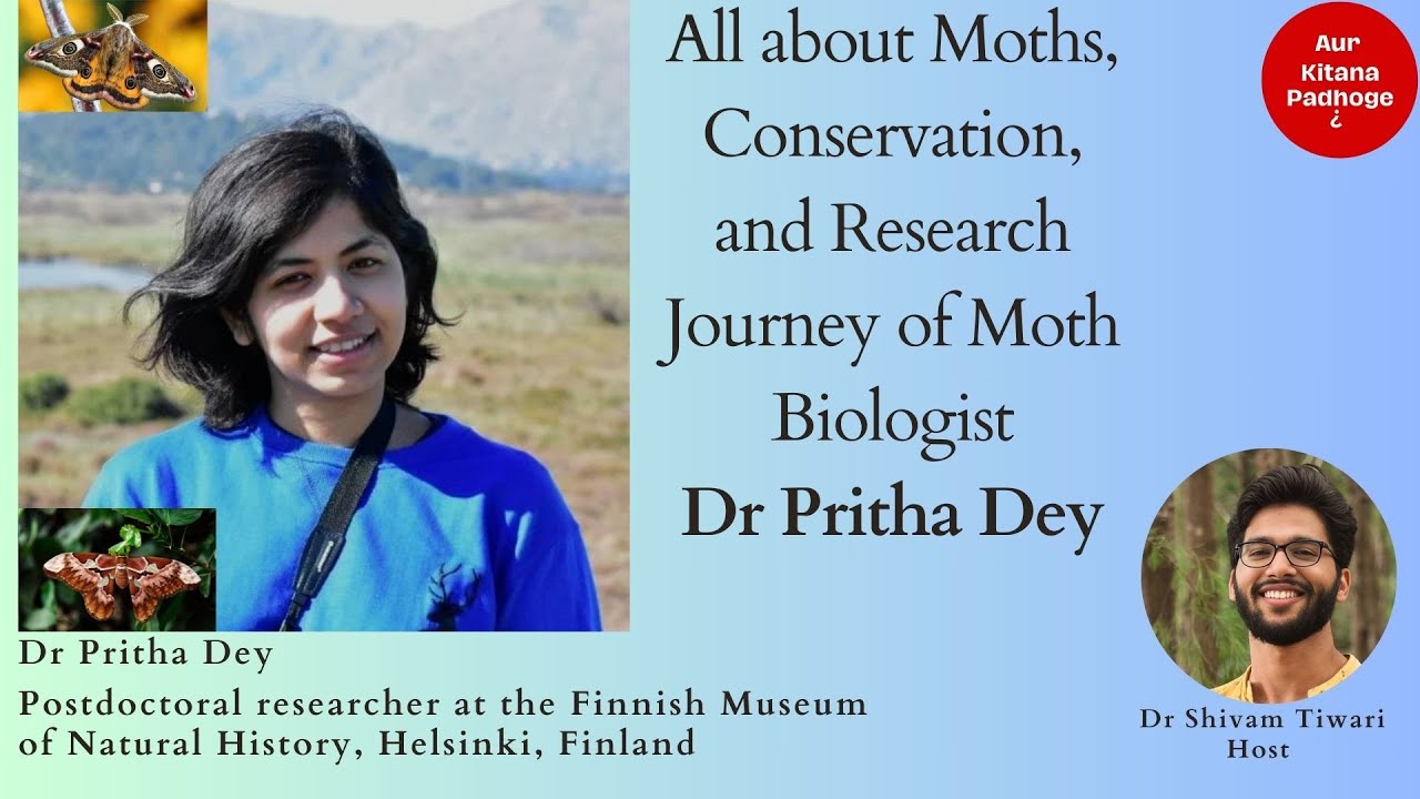 All about Moths, Conservation, and Research Journey of Moth Biologist ...