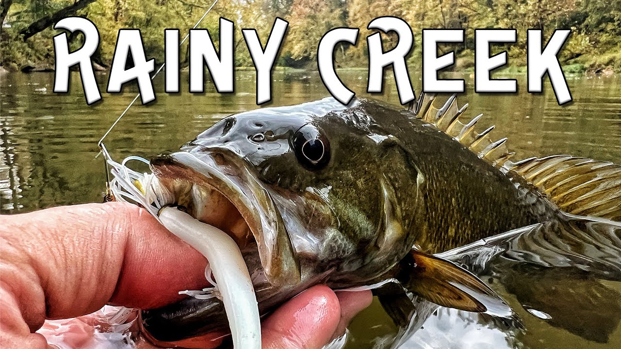 Fishing a Rainy Creek in Southern Ohio - YouTube