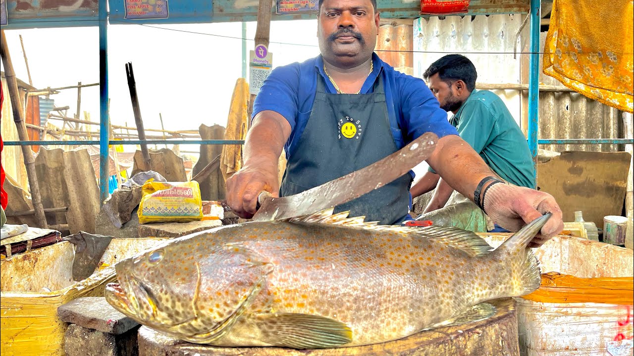 SPEED SELVAM BIG SIZE KALAVAAN FISH CUTTING🔪VIDEO | KASIMEDU | DIAMOND ...