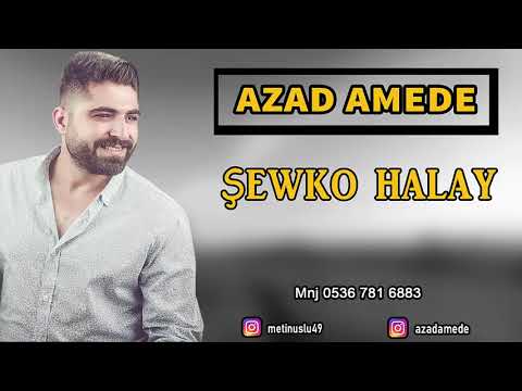 Şewko 2025 HALAY - Azad Amede | Metin Uslu