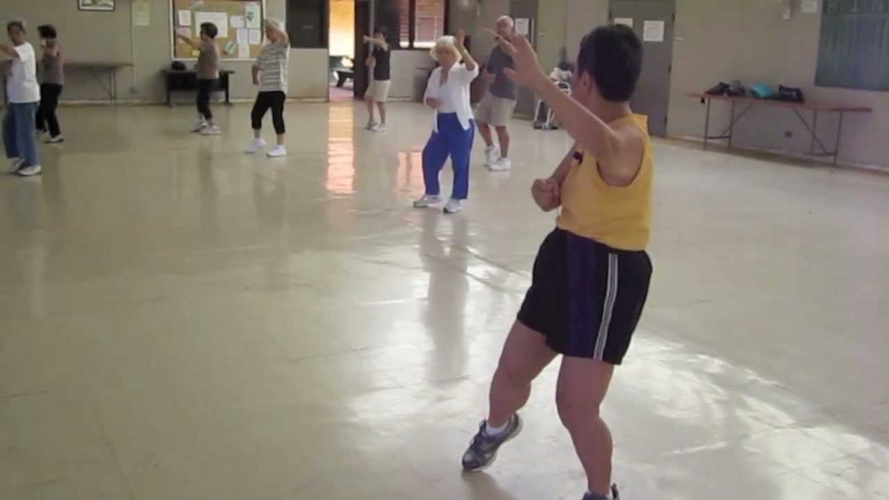 Yang Style Tai Chi Turn Deflect Parry and Punch everydaytaichi by lucy ...