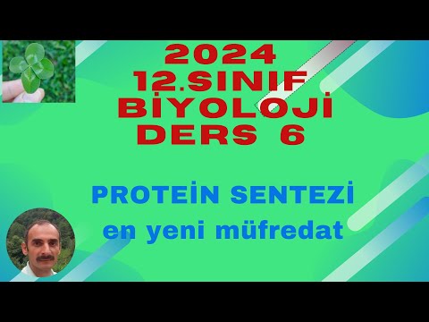 PROTEİN SENTEZİ, 12.SINIF , AYT, BİYOLOJİ ,YENİ MÜFREDAT