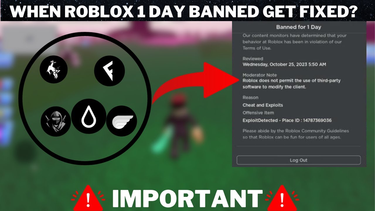 When Roblox 1 Day Banned get Fixed ⚠️ | Roblox Executor Mobile and Pc ...