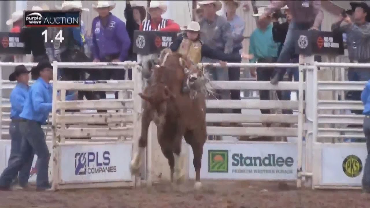 Bailey Small | 2024 Pikes Peak or Bust Rodeo / NFR Open - YouTube