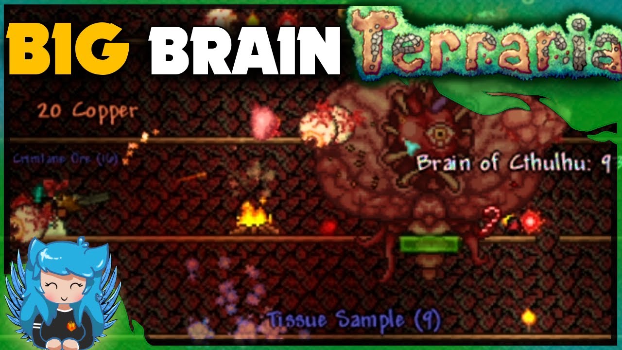 BIG BRAIN DESTRUCTION TIME -Let's Play | Terraria | EP3 - YouTube