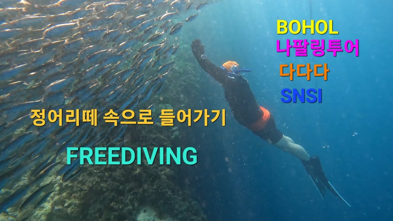 나팔링투어 | #bohol #Napaling Dive Point #Panglao Bohol | #Cebuana ...