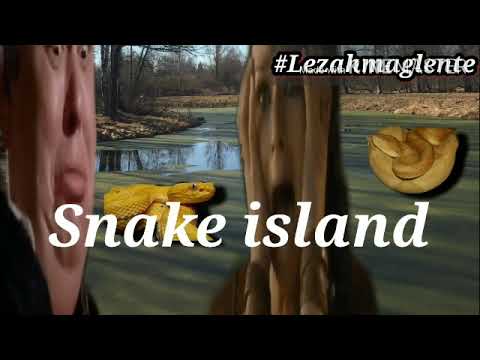 Snake island
