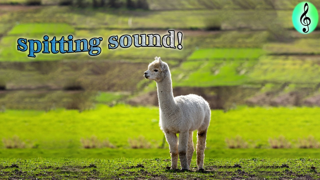 sound effect-spitting | spitting saliva - YouTube