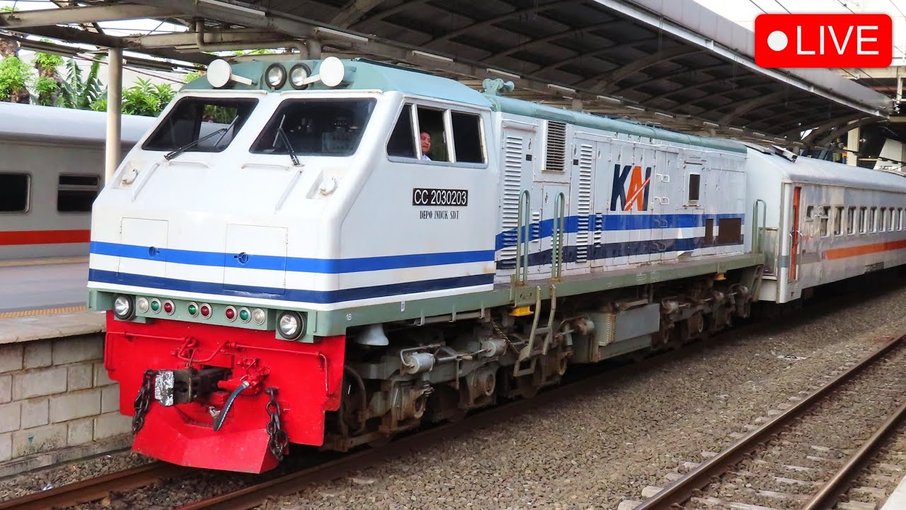 🔴 LOKOMOTIF CC 203 LIVERY GARIS BIRU WNB KE JAKARTA LAGI !! Nonton ...