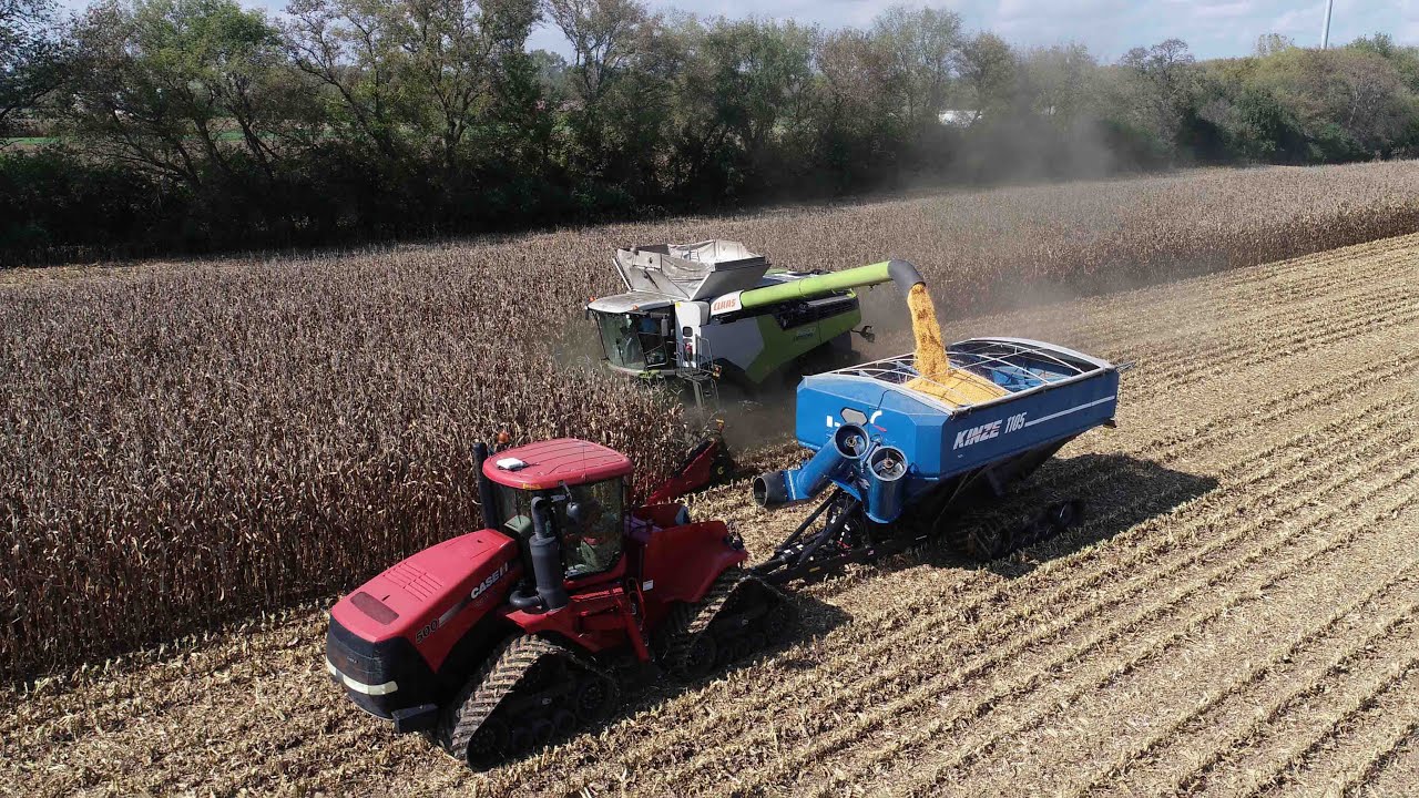 Miller Grain Farms 2021 Corn & Soybean Harvest - YouTube