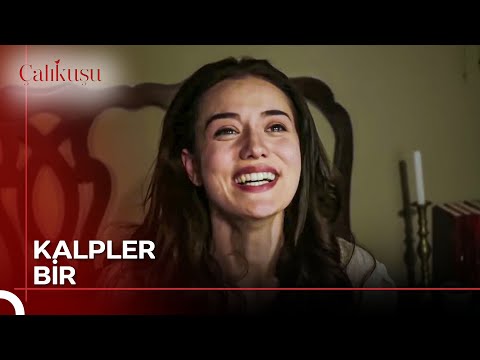 Rüyalarında Buluşan Bir Çift | Çalıkuşu 9. Bölüm