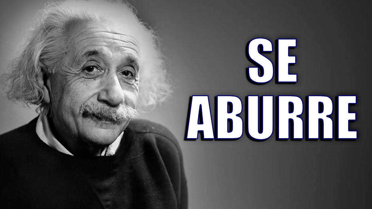 Los listos se aburren en nuestro sistema - YouTube